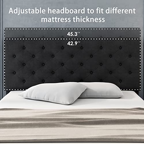 HOSTACK Queen Size Bed Frame, Modern Upholstered Platform Bed with Adjustable Headboard, Heavy Duty Button Tufted Bed Frame with Wood Slat Support, Easy Assembly, No Box Spring Needed(Black, Queen)