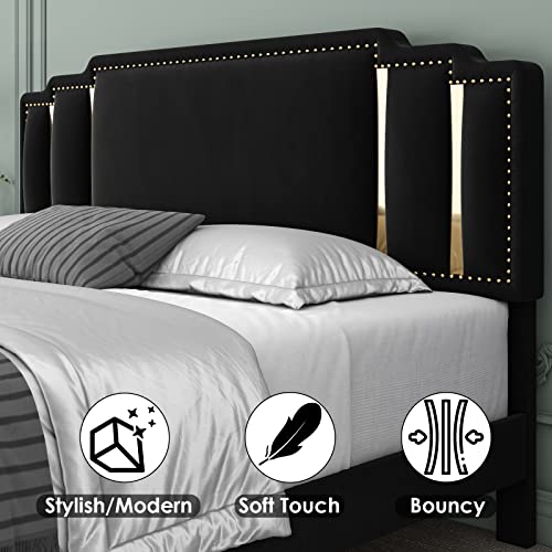 HIFIT Queen Size Modern Velvet Upholstered Bed Frame with Adjustable Headboard, Studded with Golden Iron Slice & Rivets, Platform Bed Frame with No Noise, No Box Spring Needed, Easy Assembly, Black