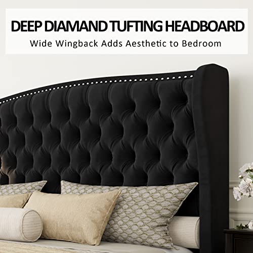 AMERLIFE Queen Size Platform Bed Frame, Velvet Upholstered Bed with Deep Button Tufted & Nailhead Trim Wingback Headboard/No Box Spring Needed/Black