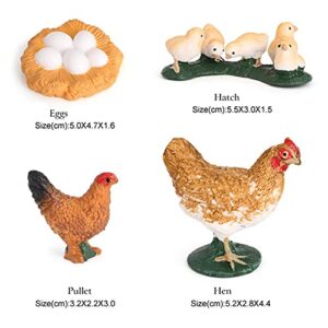 BLAPNK 8 Pcs Chicken and Goose Animal Life Cycle Growth Model Figure Classroom School Projects Party Supplies Cake Topper Amphibian Toys Figurine Science Educational Prop