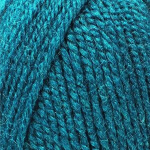 Plymouth Yarn for Knitting Encore Worsted Teal Topaz 0157, 5-Skeins (Same Dyelot, Total: 500 gr, 1000 yds), Medium Weight #4, 75% Acrylic/25% Wool Blend, Bundle with Artsiga Crafts Project Bag