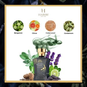 H HABIBI Spiced Bergamot & Orris Find Your Signature Scent with this Luxury Mens EDP - Eau de Parfum Fragrance - Unique & Long-Lasting Cologne for Men Made with Rare Exotic Notes