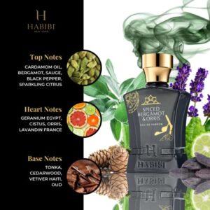 H HABIBI Spiced Bergamot & Orris Find Your Signature Scent with this Luxury Mens EDP - Eau de Parfum Fragrance - Unique & Long-Lasting Cologne for Men Made with Rare Exotic Notes