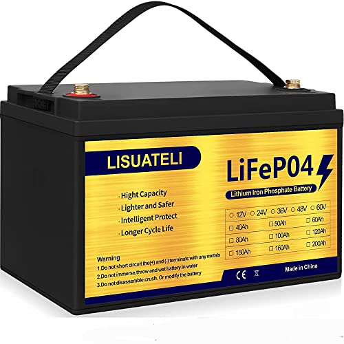 LISUATELI 12V 100Ah Lifepo4 Lithium Batteries Up to 3000-7000 Deep Cycles for Golf Cart Solar RV Camper Marine Battery (12V100AH black)