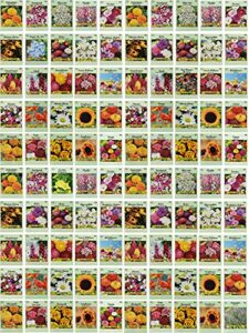 set of 100 assorted valley green flower seed packets! flower seeds in bulk - 20+ varieties included