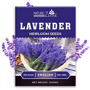 1400 english lavender seeds for planting indoors or outdoors, 90% germination, to give you the lavender plant you need, non-gmo, heirloom herb seeds (1 pack)