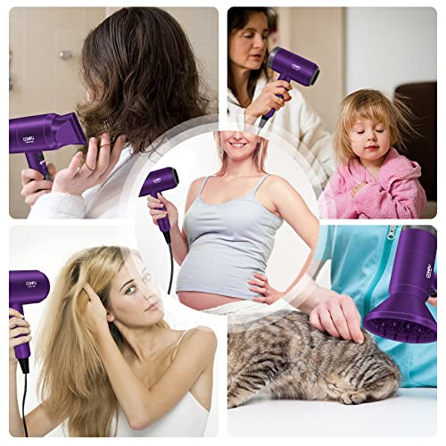 Ionic Hair Dryer, Portable Lightweight Diffuser Hair Dryer, Hair Blow Dryer with 2 Attachments Use for Curly/Wavy/Straighten Hair, Blow Dryer Fast Drying Ideal Chocie for Women and Girls Purple