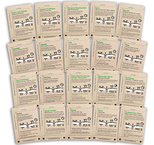 Vegetable Seeds for Planting Variety 20 Pack — Heirloom Vegetables Seeds —Tomatoes,Lettuce,Beets,Bell Pepper,Zucchini, Broccoli,Beans,Cabbage,Cauliflower,Onion,Cucumber & Other Vegetable Garden Seeds