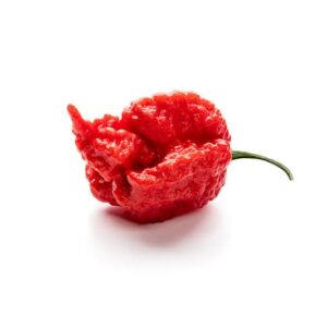 Bobby Courtyard Carolina Reaper Seeds | 200 Carolina Reaper Seeds for Planting | Non GMO Hottest Pepper Seeds