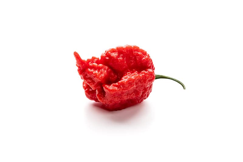 Bobby Courtyard Carolina Reaper Seeds | 200 Carolina Reaper Seeds for Planting | Non GMO Hottest Pepper Seeds