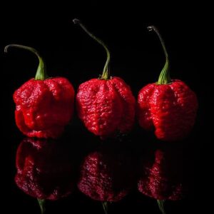 Bobby Courtyard Carolina Reaper Seeds | 200 Carolina Reaper Seeds for Planting | Non GMO Hottest Pepper Seeds