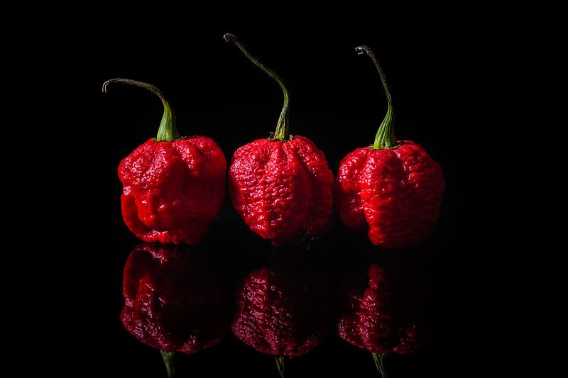 Bobby Courtyard Carolina Reaper Seeds | 200 Carolina Reaper Seeds for Planting | Non GMO Hottest Pepper Seeds