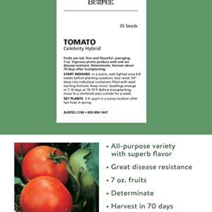 Burpee Celebrity Hybrid Tomato Seeds | Red Tomato Slicer | 35 Non-GMO Seeds for Planting | Disease-Resistant and Award-Winning Variety | Big Juicy Tomato for Summer Sandwiches