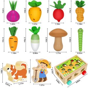 Wooden Montessori Toys for Toddlers Girl and Boy, Wooden Farm Animals Toys Gifts for Toddlers Age 2 3 4 Year Old, Wood Educational Shape Sorter Toys for Kids 1-3 Learning Fine Motor Skills