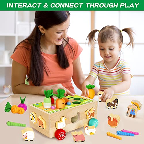 Wooden Montessori Toys for Toddlers Girl and Boy, Wooden Farm Animals Toys Gifts for Toddlers Age 2 3 4 Year Old, Wood Educational Shape Sorter Toys for Kids 1-3 Learning Fine Motor Skills