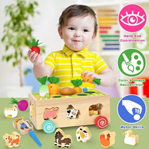 Wooden Montessori Toys for Toddlers Girl and Boy, Wooden Farm Animals Toys Gifts for Toddlers Age 2 3 4 Year Old, Wood Educational Shape Sorter Toys for Kids 1-3 Learning Fine Motor Skills