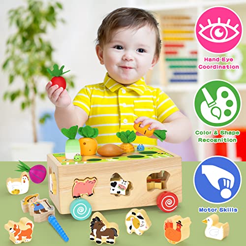 Wooden Montessori Toys for Toddlers Girl and Boy, Wooden Farm Animals Toys Gifts for Toddlers Age 2 3 4 Year Old, Wood Educational Shape Sorter Toys for Kids 1-3 Learning Fine Motor Skills