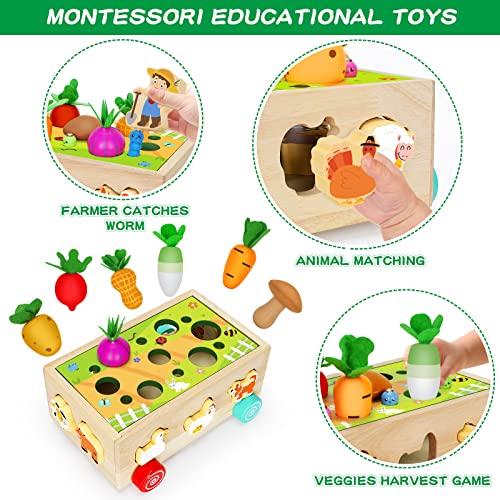 Wooden Montessori Toys for Toddlers Girl and Boy, Wooden Farm Animals Toys Gifts for Toddlers Age 2 3 4 Year Old, Wood Educational Shape Sorter Toys for Kids 1-3 Learning Fine Motor Skills