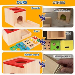 Montessori Toys for 1 2 3 Year Old, 5 in 1 Wooden Montessori Toys for Babies 6-12 Months, Toddler Toys Kit Includes Object Permanence Box with Ball Drop Toy, Shape Sorter & Other Educational Toys