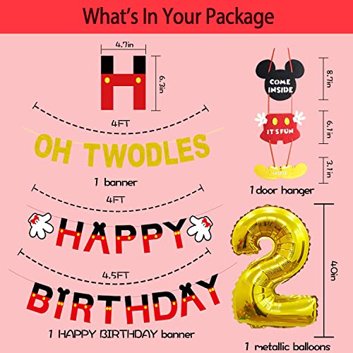 2nd Mouse Birthday Party Supplies Decorations 57Pcs - HAPPY BIRTHDAY Banner OH TWODLES Banner '2' Foil Balloon Balloons Hat Door Sign Cupcake Toppers Birthday Decorations for Boys Girls Kids Babies