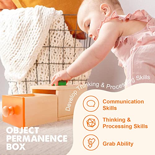 Tiny Land Montessori Toys for Babies 6-12 Months-4 in 1 Wooden Learning Educational Toy Set Includes Teething Toy, Rainmaker Baby Toy, Flash Card and Object Permanence Box-Gift for 1 Year Old Infant