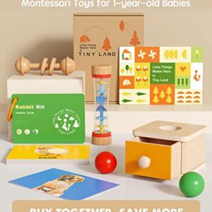 Tiny Land Montessori Toys for Babies 6-12 Months-4 in 1 Wooden Learning Educational Toy Set Includes Teething Toy, Rainmaker Baby Toy, Flash Card and Object Permanence Box-Gift for 1 Year Old Infant