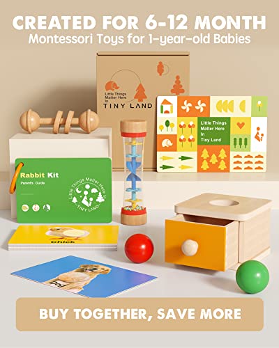 Tiny Land Montessori Toys for Babies 6-12 Months-4 in 1 Wooden Learning Educational Toy Set Includes Teething Toy, Rainmaker Baby Toy, Flash Card and Object Permanence Box-Gift for 1 Year Old Infant