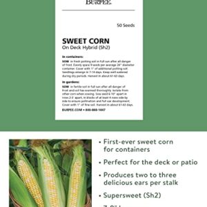 Burpee On Deck Sweet Corn Seeds 50 seeds