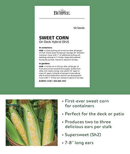 Burpee On Deck Sweet Corn Seeds 50 seeds