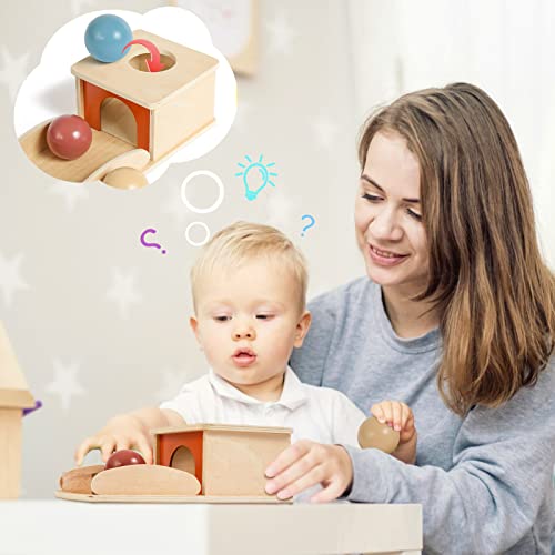 Zeoddler Object Permanence Box with Tray 3 Balls 50 mm, Montessori Toys for 1 Year Old, Wooden Toys for Toddlers, Preschool Learning Activities, Gift for Girls Boys