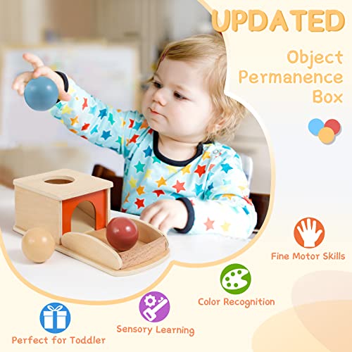 Zeoddler Object Permanence Box with Tray 3 Balls 50 mm, Montessori Toys for 1 Year Old, Wooden Toys for Toddlers, Preschool Learning Activities, Gift for Girls Boys