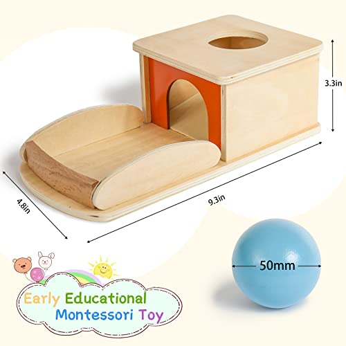 Zeoddler Object Permanence Box with Tray 3 Balls 50 mm, Montessori Toys for 1 Year Old, Wooden Toys for Toddlers, Preschool Learning Activities, Gift for Girls Boys