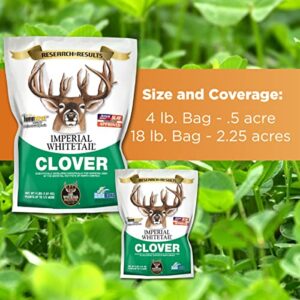 Whitetail Institute Imperial Clover Food Plot Seed (Spring and Fall Planting), 4-Pound (1/2 Acre)