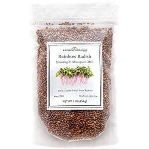 rainbow radish sprouting seeds mix | heirloom non-gmo seeds for sprouting & microgreens | contains red arrow, purple triton & white daikon radish seeds 1 lb resealable bag | rainbow heirloom seed co.