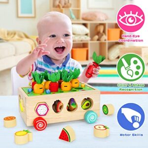 Wooden Montessori Toys for 1 2 3 Year Old Baby Girls Boys, Wood Shape Sorter Toys Gifts for Toddlers Learning Fine Motor Skills, Carrot Harvest Game Educational Toys