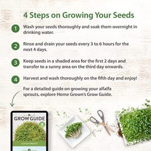 8oz Alfalfa Sprouting Seeds - Alfalfa Sprout Seeds for Indoor or Outdoor Planting - Non-GMO, USA Premium Alfalfa Seeds for Sprouting - Microgreen Seed Sprouts in Resealable Bag for Longer Freshness