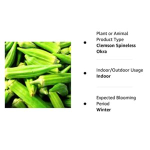 100 Clemson Spineless Okra Seeds | Non-GMO | Fresh Garden Seeds