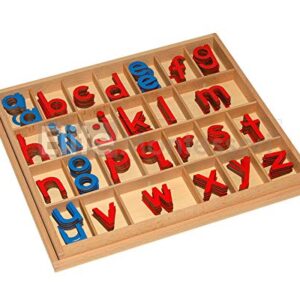 Elite Montessori Wooden Movable Alphabet with Box Preschool Spelling Learning Materials (Red & Blue, 5mm Thick)