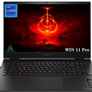 HP 2022 OMEN O17 17.3" 165Hz Gaming Laptop, Intel Core i7-12700H, 16GB RAM, 1TB PCIe SSD, Backlit Keyboard, NVIDIA GeForce RTX 3070Ti 8GB, HD Webcam, Win 11 Pro, Black, w/ 32GB USB Business Card