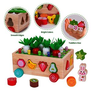 Toddlers Montessori Wooden Educational Toys for Baby Boys Girls Age 2 3 4 Year Old, Shape Sorting Toys Gifts for Kids 2-4, Wood Preschool Learning Fine Motor Skills Game