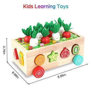 Toddlers Montessori Wooden Educational Toys for Baby Boys Girls Age 2 3 4 Year Old, Shape Sorting Toys Gifts for Kids 2-4, Wood Preschool Learning Fine Motor Skills Game