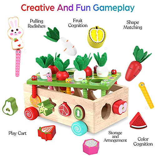 Toddlers Montessori Wooden Educational Toys for Baby Boys Girls Age 2 3 4 Year Old, Shape Sorting Toys Gifts for Kids 2-4, Wood Preschool Learning Fine Motor Skills Game