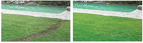 Hydro Mousse Liquid Lawn - Bermuda Grass Seed Mixture - Grow Grass Where You Spray it - Seed Like The Pros