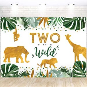 NAIWOXI Two Wild Birthday Decorations - Safari Jungle Theme 2nd Birthday Party Supplies Includes Banner, Backdrop, Balloons Arch, Tablecloth, Topper, Two Wild Jungle Safari Theme Party Decorations