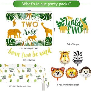 NAIWOXI Two Wild Birthday Decorations - Safari Jungle Theme 2nd Birthday Party Supplies Includes Banner, Backdrop, Balloons Arch, Tablecloth, Topper, Two Wild Jungle Safari Theme Party Decorations