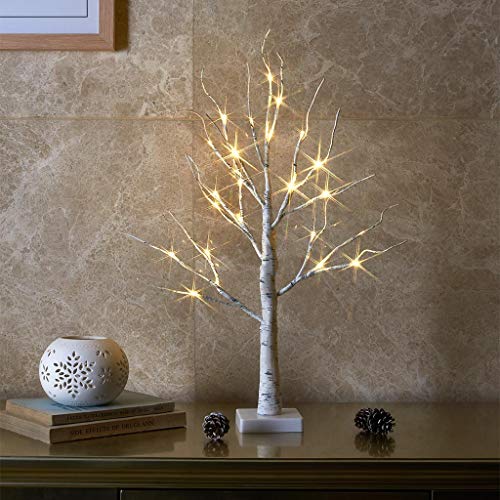 EAMBRITE Tabletop Tree Home Decorations, Mini Birch Tree with Lights, 24 LED Money Tree White Twig Tree Battery Operated with Timer, Christmas Centerpiece, Mothers Day, Spring Decor(2FT/Warm White)