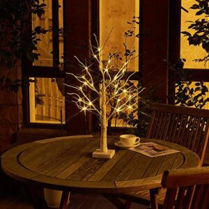 EAMBRITE Tabletop Tree Home Decorations, Mini Birch Tree with Lights, 24 LED Money Tree White Twig Tree Battery Operated with Timer, Christmas Centerpiece, Mothers Day, Spring Decor(2FT/Warm White)