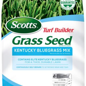 Scotts Turf Builder Grass Seed Kentucky Bluegrass Mix for a Thick, Durable Lawn with WaterSmart Plus Technology, 3 lbs.