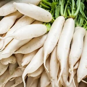 Japanese Daikon Radish Seeds for Planting - 100 Heirloom Non GMO Seeds - Full Planting Instructions to Plant & Grow a Home Vegetable Garden - Great Gardening Gift, 1 Packet