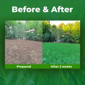 Grotrax Biodegradable Grass Seed Mat - 100 sqft Year Round Green - Grass Seed and Fertilizer for Lawns, Dog Patches & Shade - Just Roll, Water & Grow - No Fake or Artificial Grass